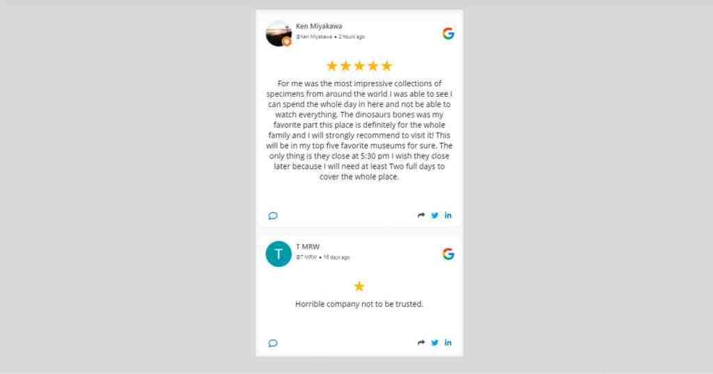 Top Google Customer Reviews Examples On Website - Tagembed