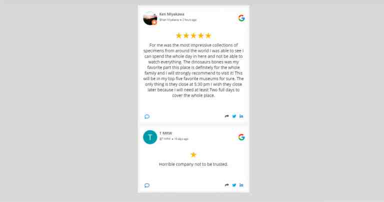 Top Google Customer Reviews Examples On Website - Tagembed